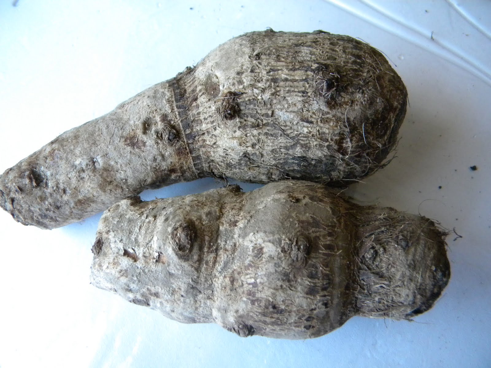 KUKABILDO: Nakalugsong (Part 1)