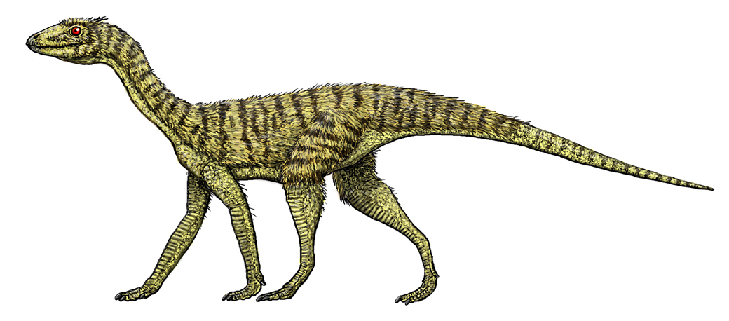 Chinleana: Silesaurus opolensis Reconstruction by Jeff Martz