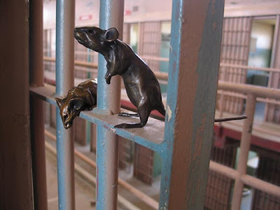 Globspot: What happens to rats in jail? (Well, mice anyway)