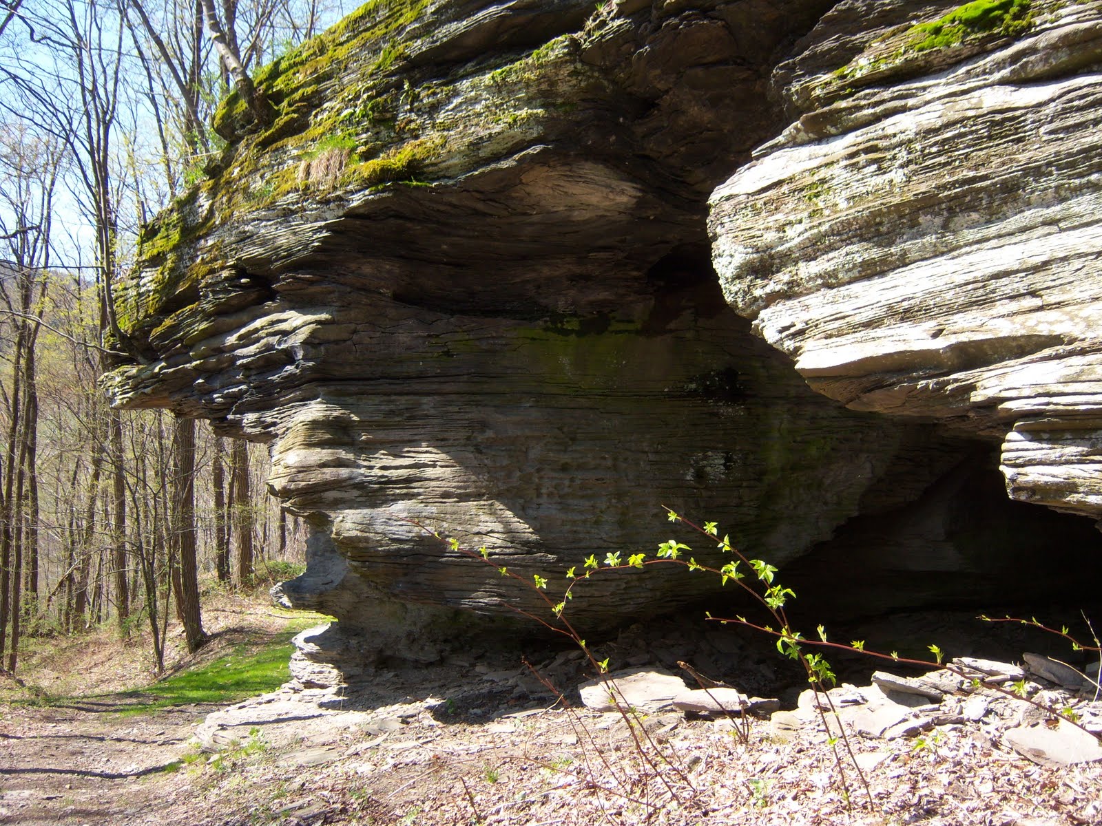 Two Headwaters Stone Piles: Downsville rock shelter - part 1