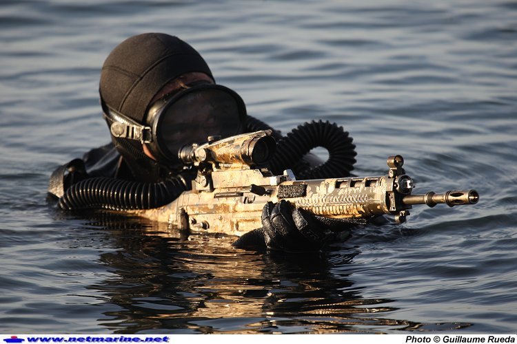 Coronel Von Rohaut: Las monturas de los "commandos marine"