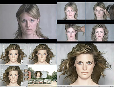 A Lotta Nerve: Evolution