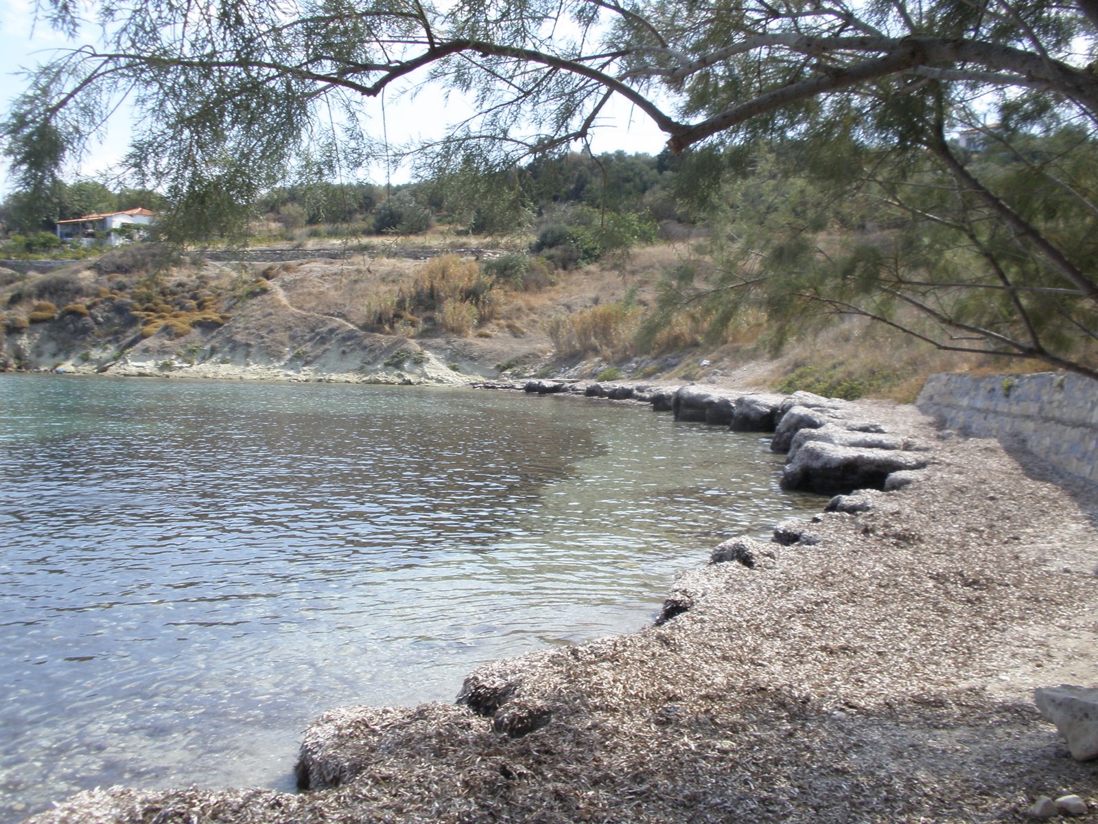 ΜΥΤΙΛΗΝΗ: ΒΙΓΛΑ