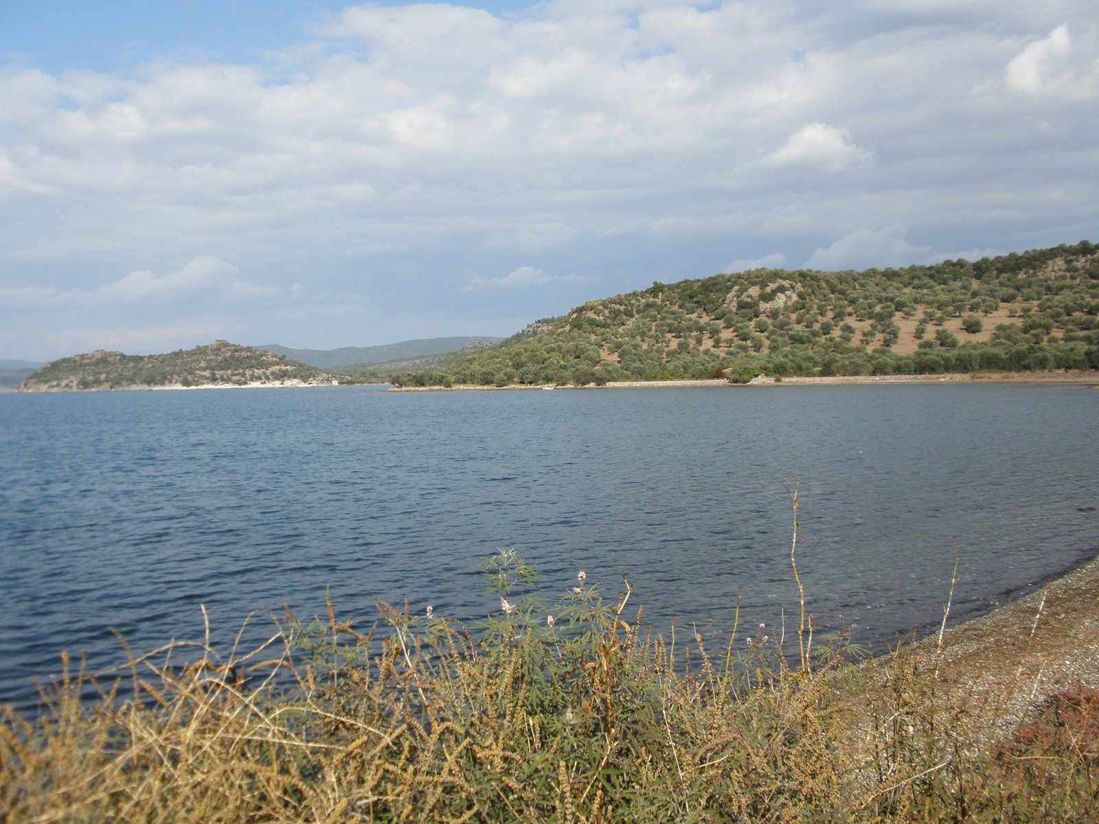 ΜΥΤΙΛΗΝΗ: ΑΧΛΑΔΕΡΗ