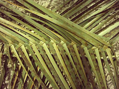 goosepark: flax blog