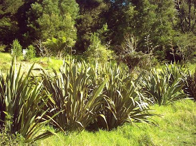 goosepark: flax blog