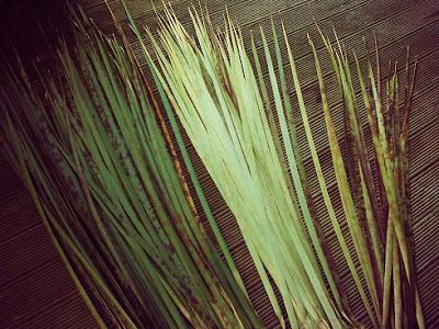 goosepark: flax blog