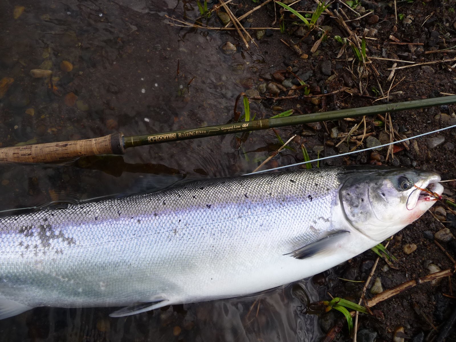 Salmon Fishing Scotland.: Salmon Fishing Scotland Catching Spring ...
