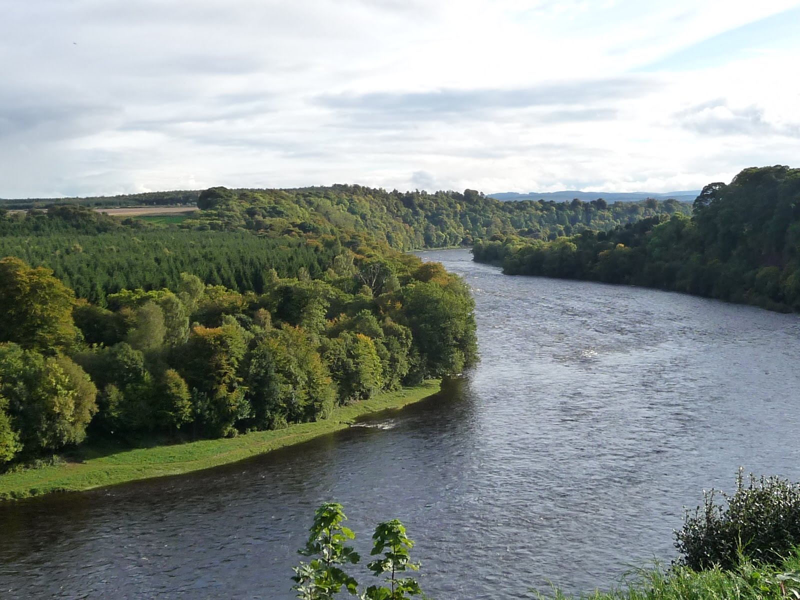 Salmon Fishing Scotland.: Salmon Fishing Scotland River Tay Salmon ...