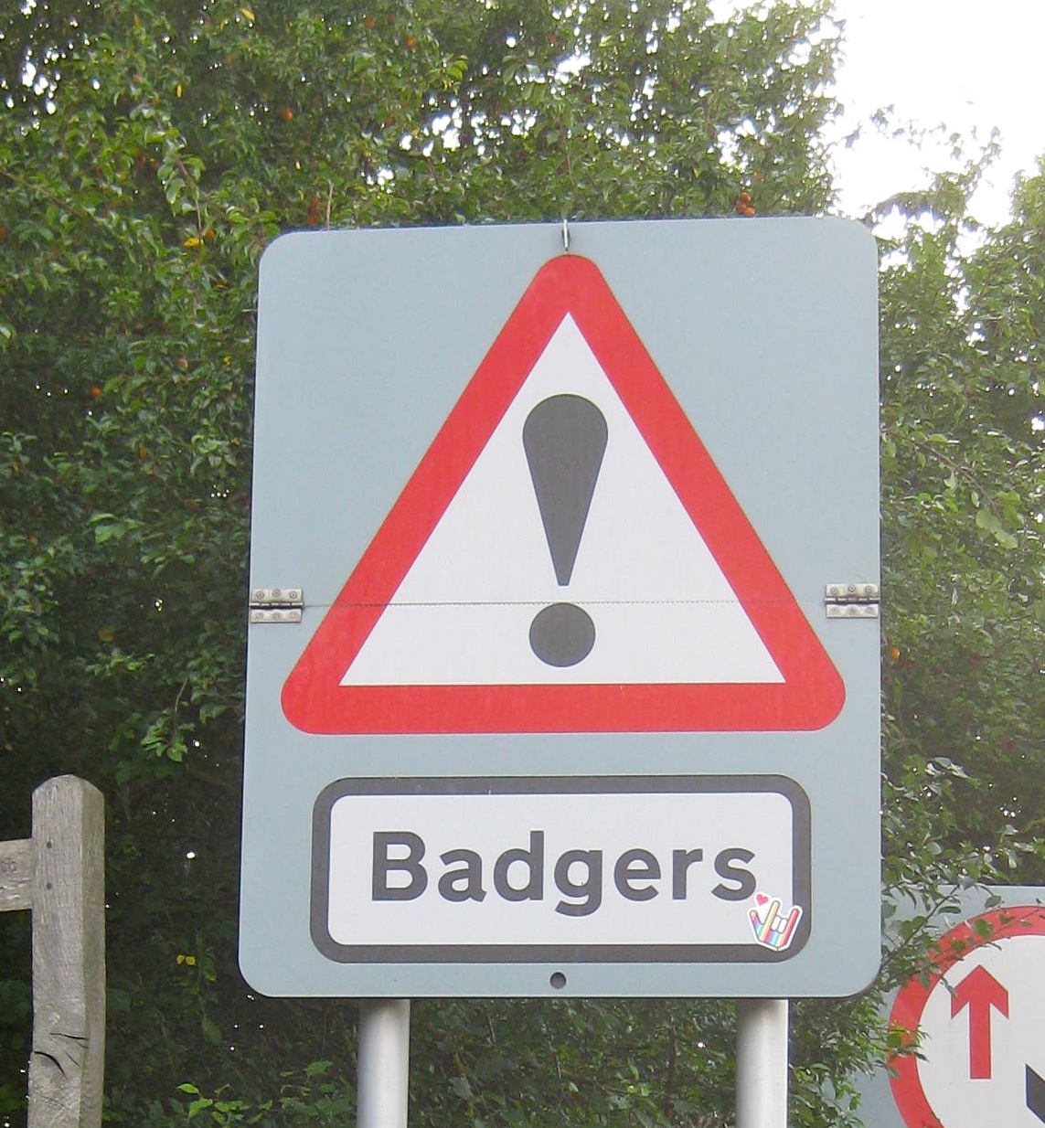 Bride of Cranky Old Geezer: Puzzling British Road Signs (continued)