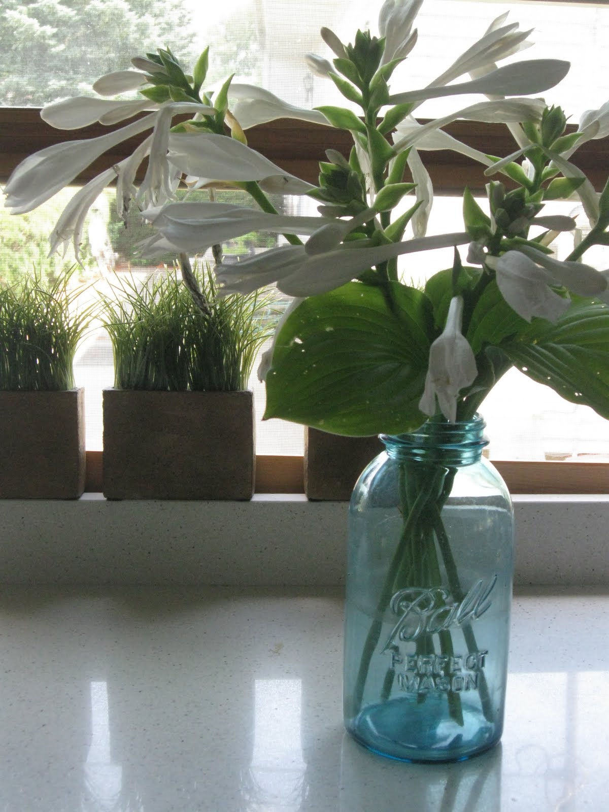 Blondie's Journal: ~~COUNTY FAIR~~