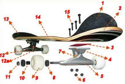 skateboard: skateboard structure