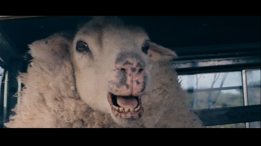Horrorthon: Black Sheep