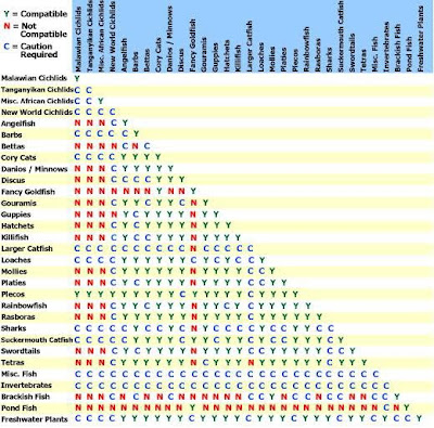 Manage your freshwater aquarium, tropical fishes and plants: Freshwater ...