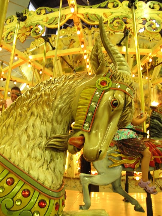 The Mare's Tales - Gypsy Mare Studios: Trimper's Carousel