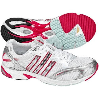 Trend Shoes Collection: Adidas Shoes Sport Collection With Trend Color