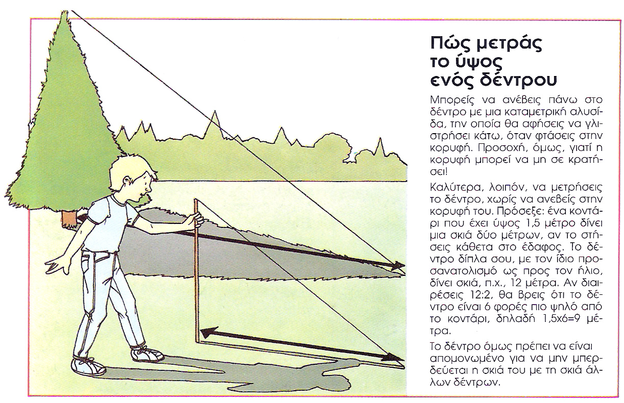 1o ΣΥΣΤΗΜΑ ΝΑΥΤΟΠΡΟΣΚΟΠΩΝ ΠΕΙΡΑΙΑ: ΠΩΣ ΜΕΤΡΑΣ ΤΟ ΥΨΟΣ ΕΝΟΣ ΔΕΝΤΡΟΥ