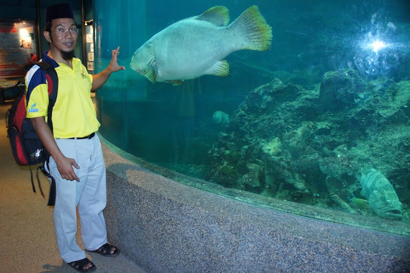 What did you see today?: Universiti Malaysia Sabah (UMS) Aquarium and ...