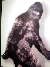 45th Anniversary of Patty: Patterson/Gimlin Film Videos