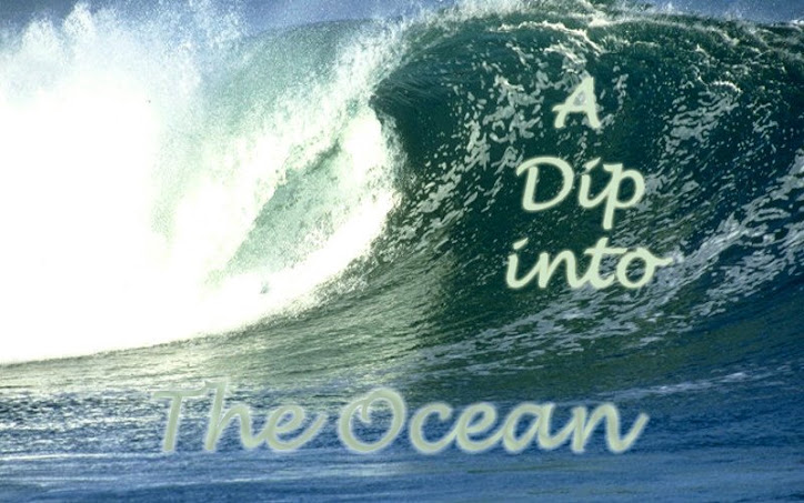 A Dip into the Ocean!