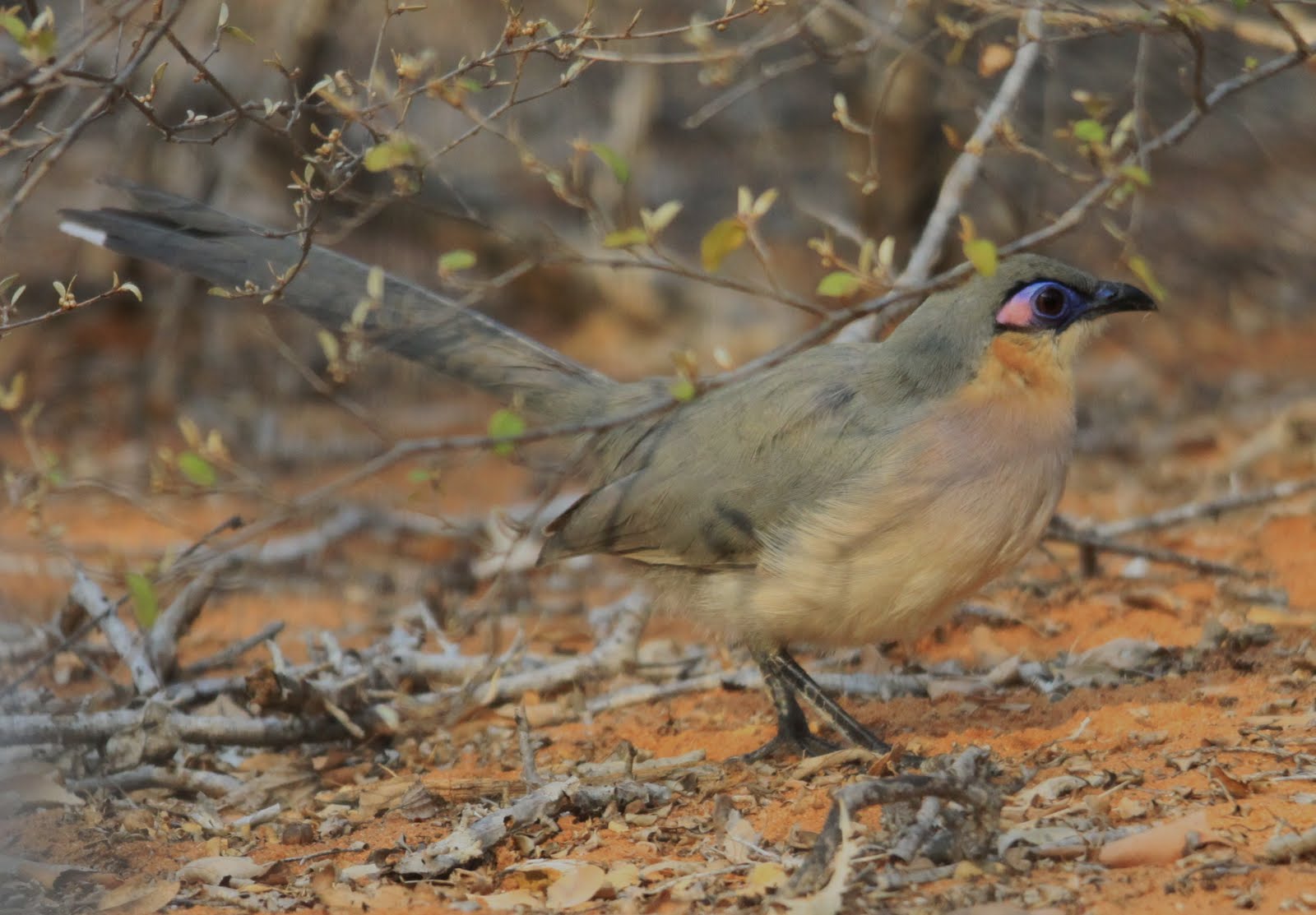 The Bagsy Blog: 11/03/10