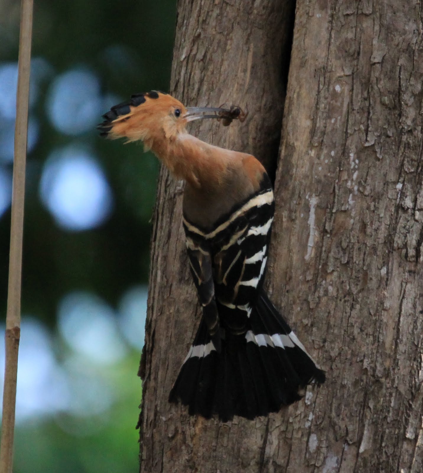 The Bagsy Blog: Captain William Allen 1770 -1843