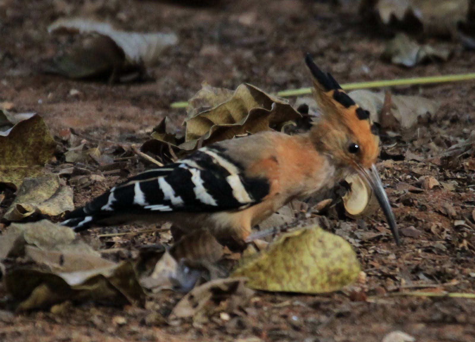 The Bagsy Blog: Captain William Allen 1770 -1843