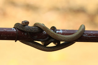 The Bagsy Blog: Captain William Allen 1770 -1843