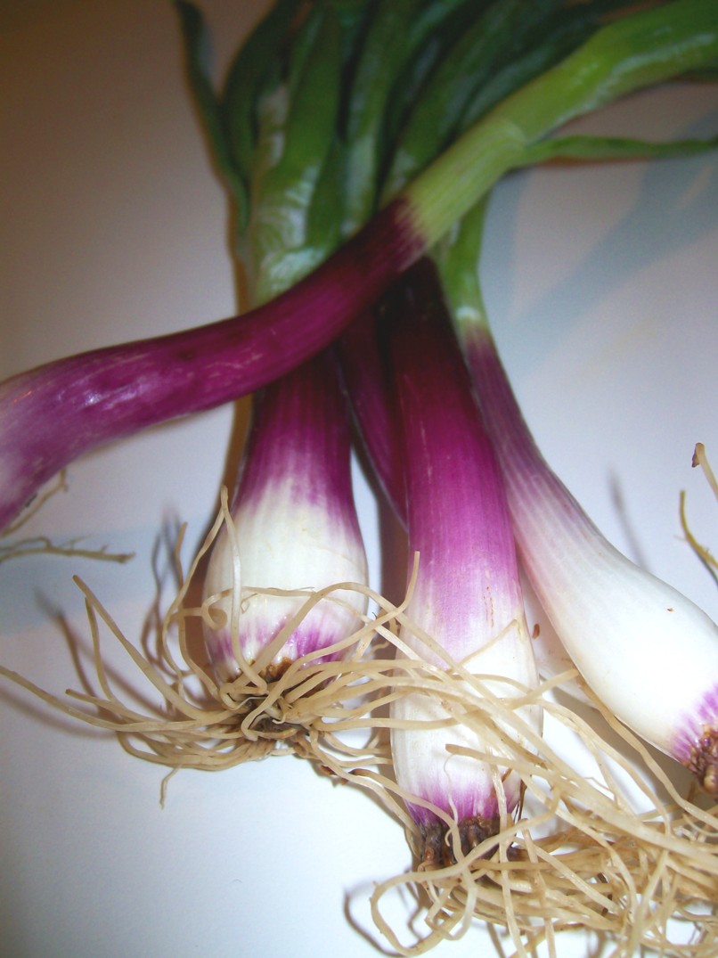 Scallion and Tofu Tortillita