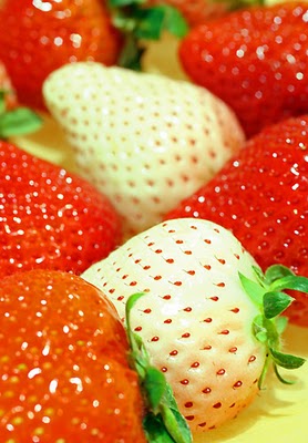Strawberry Berwarna Putih