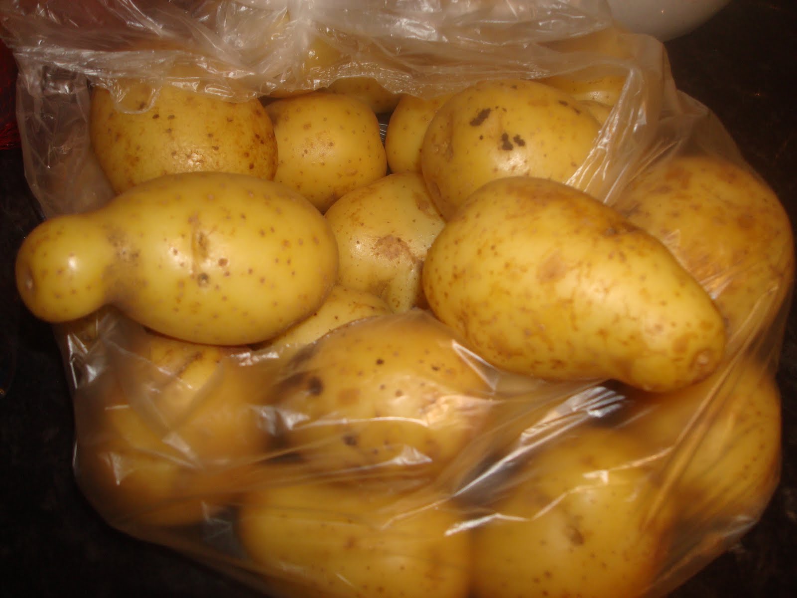 White little Castle: Snoppar i all ära...