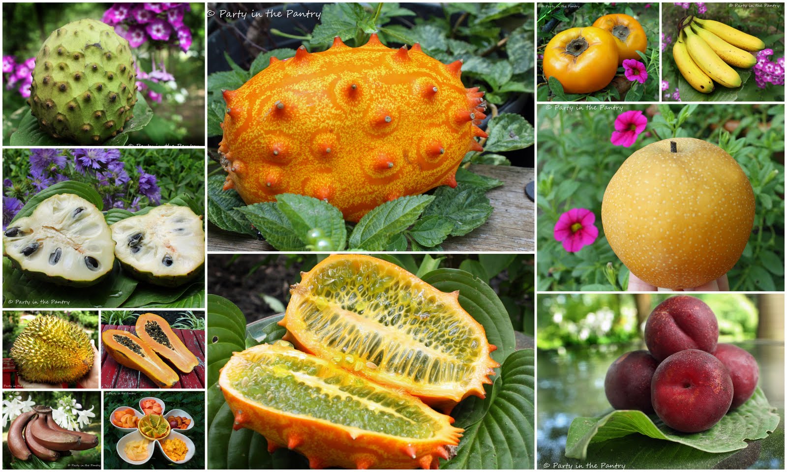 Party in the Pantry!: It's a Funky Fruit Tasting Party!!!