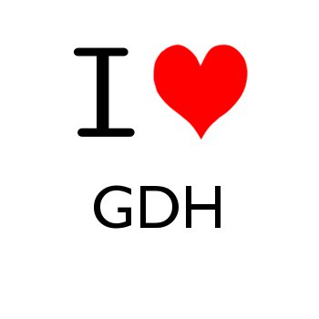 TEAM GDH PROFILE