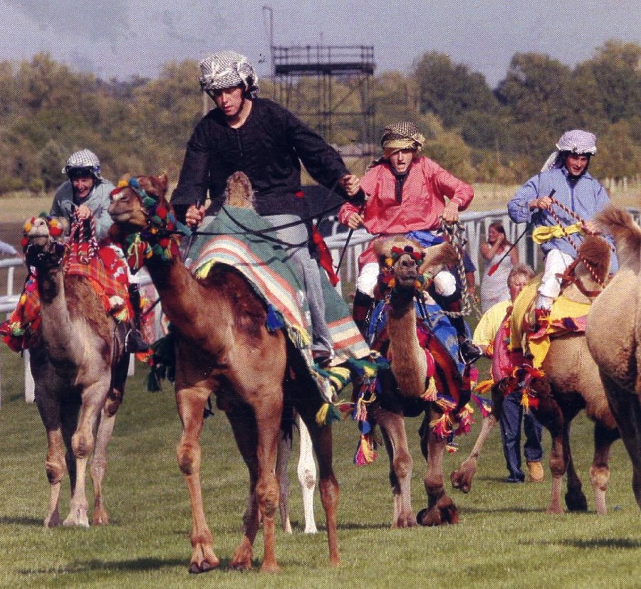 Bill's Blog: Camel Racing in Henley?