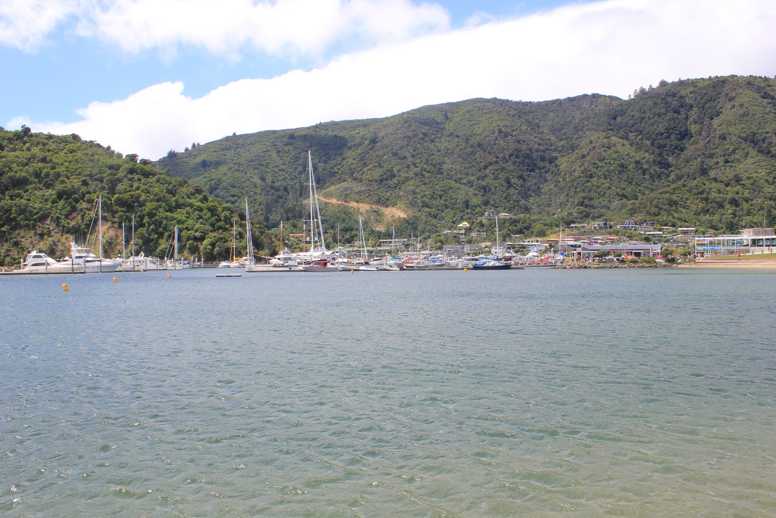 Australia: DE WELLINGTON A PICTON (ISLA DEL SUR)