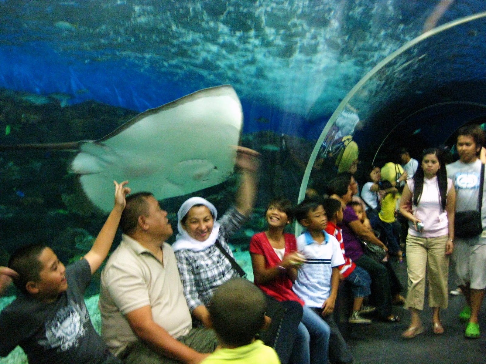 15 Ways to Enjoy Manila Ocean Park