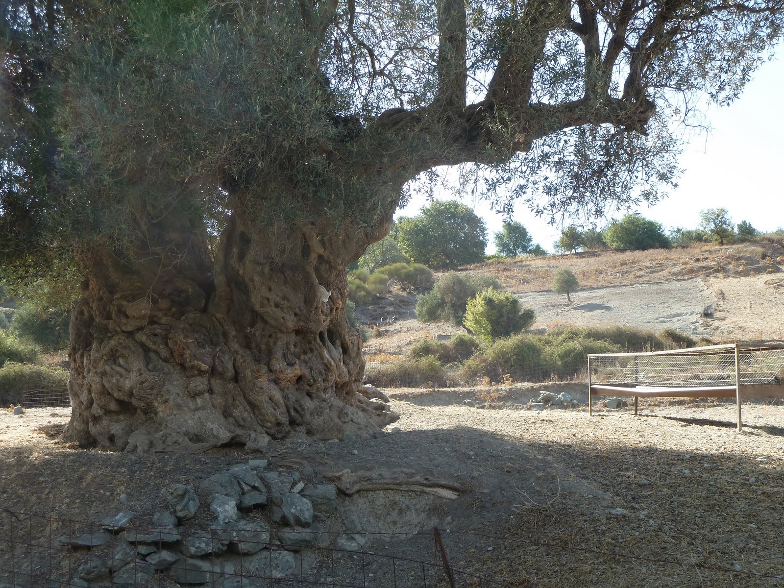 Still Coloring Out Of The Lines: Unique Guided Tour