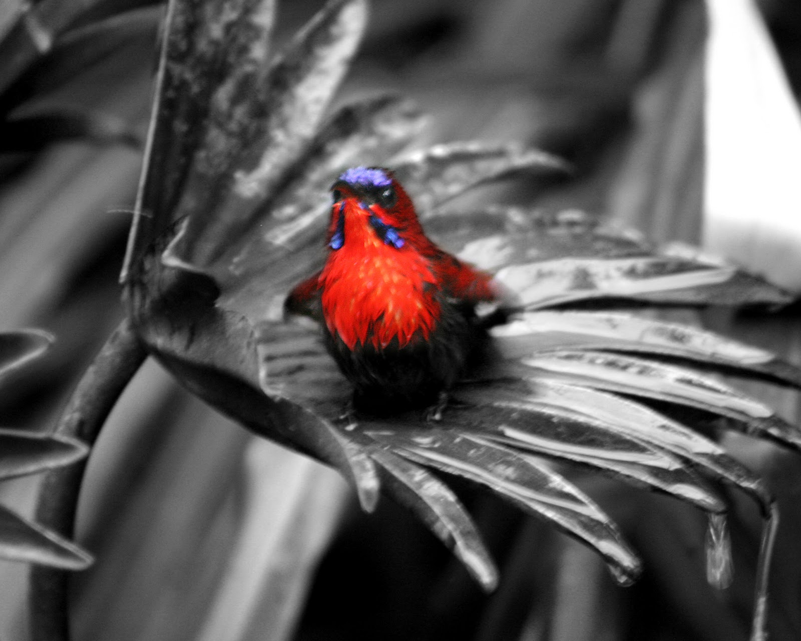 stkents13photography