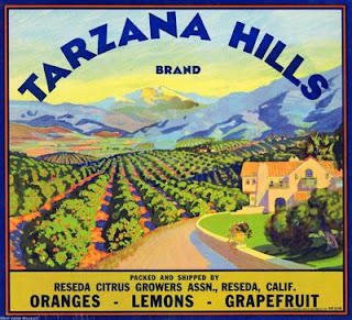 The Museum of the San Fernando Valley: IMAGES OF TARZANA CALIFORNIA