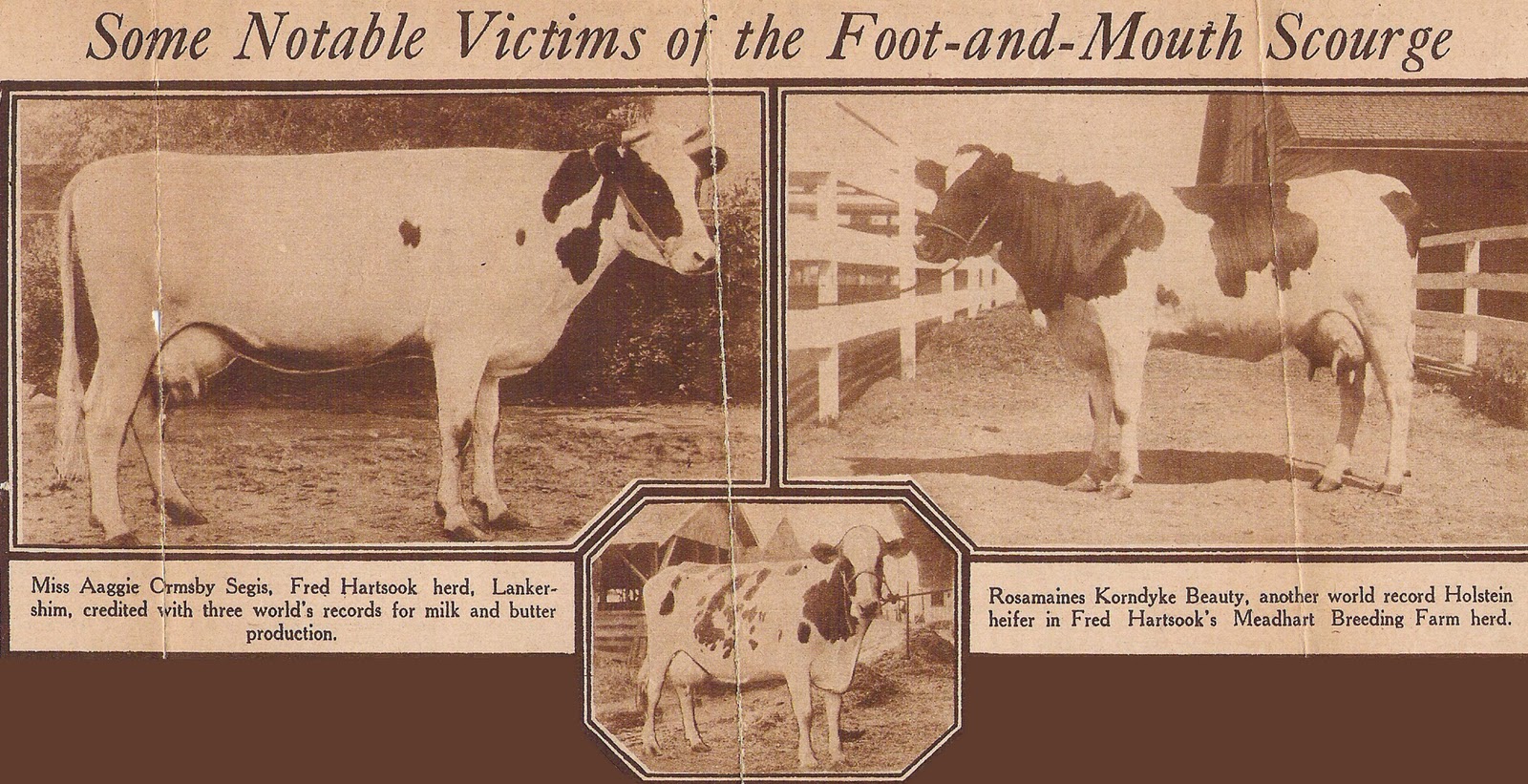 The Museum of the San Fernando Valley: JOHN FREDERICK HARTSOOK ...