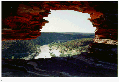 Nature`s Window Public Library