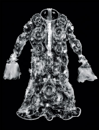 Fashion Link: Adam Fuss