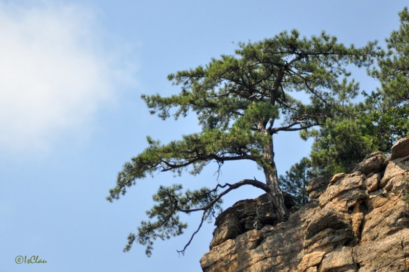 In linii mari: Plimbare in natura