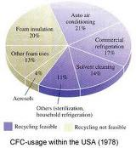 Chemistry in My Daily Life: Who is the ozone layer KILLER??