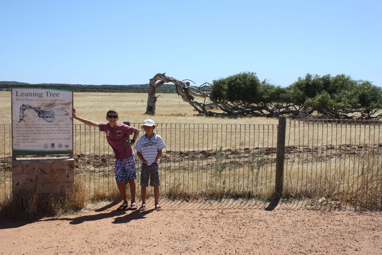 Durnins On Safari: Geraldton