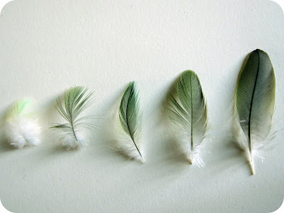 lemmemakeit: feather printing with Pico