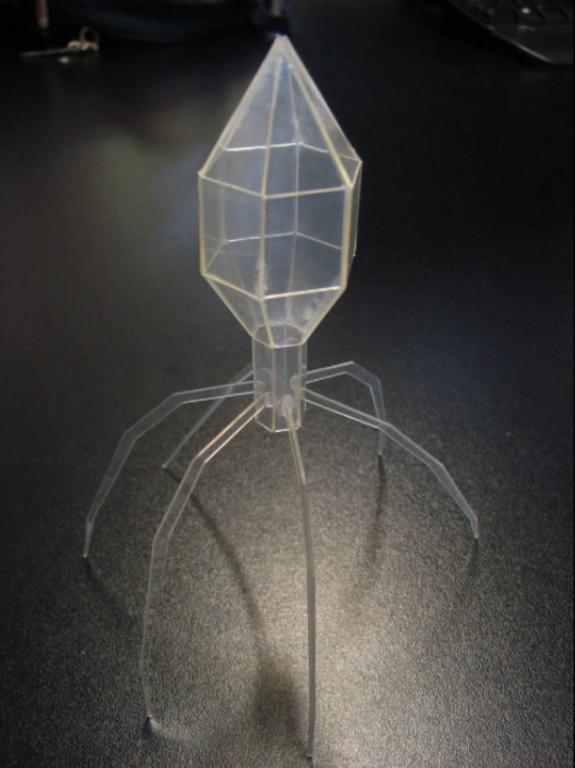 My SD300 3D Printer: Bacteriophage by LMDM