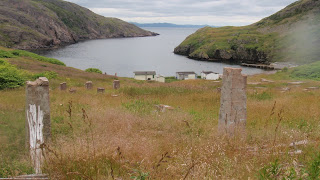 My Newfoundland Kayak Experience: Pictures of Stone's Cove for Micheal