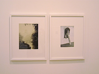 The Year in Pictures: Mark Wyse