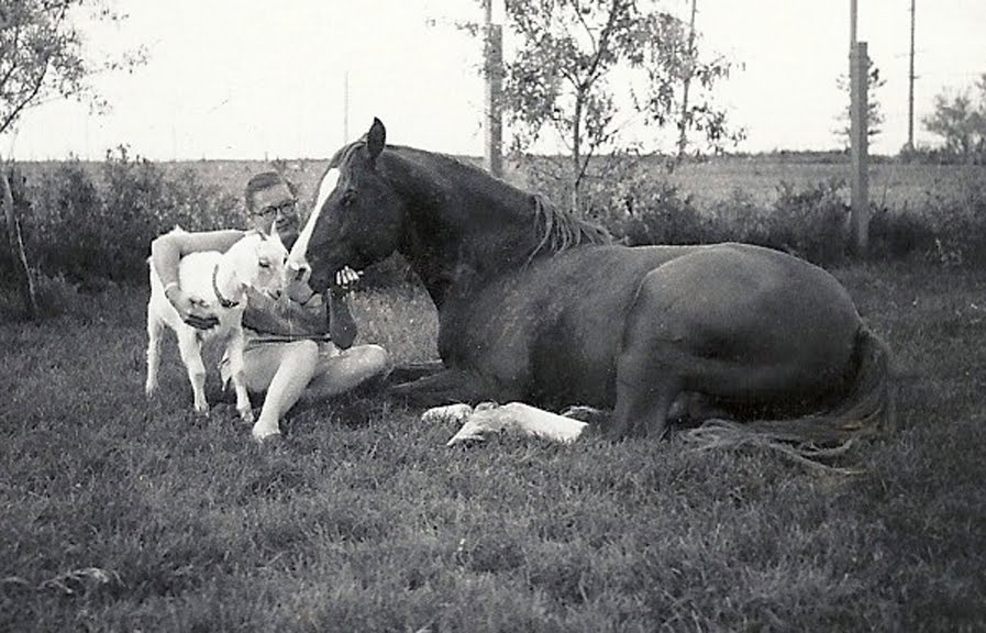 Europe au pif: Happy (Belated) Birthday Sonia